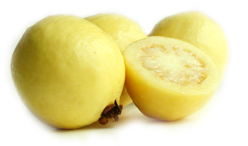 Puré simple de Guayaba blanca en GAIA fruits de México - ppfam.com
