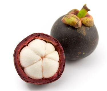 Mangostan en La Finita de Guatemala - ppfam.com